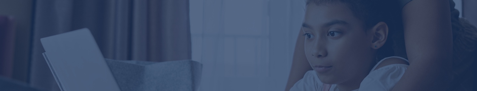 Modular Template - Illinois Civics Hub Modular Template - Illinois Civics Hub